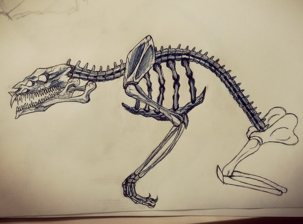 Demon Skeleton Wip Drawing by Cmilodonka - DragoArt