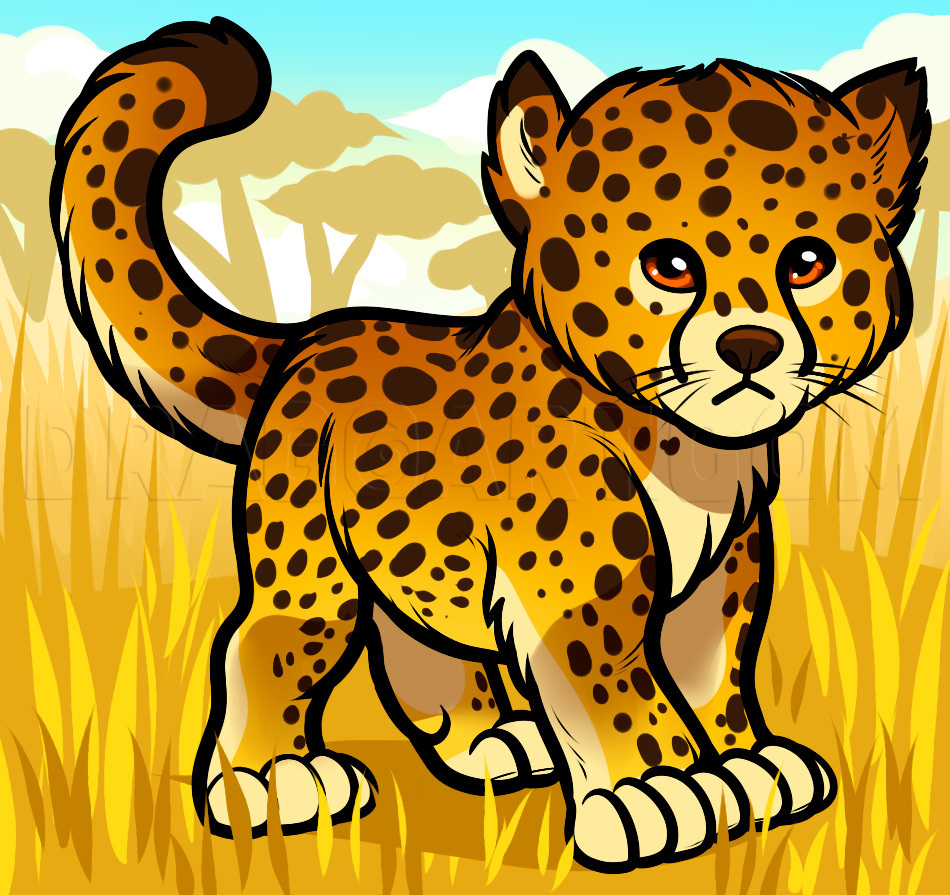 How To Draw A Baby Cheetah Baby Cheetah Step By Step Drawing Guide 