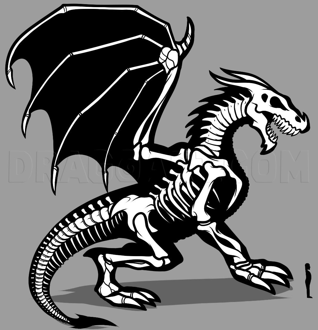How To Draw A Dragon Skeleton Dragon Skeleton Step By Step Drawing 