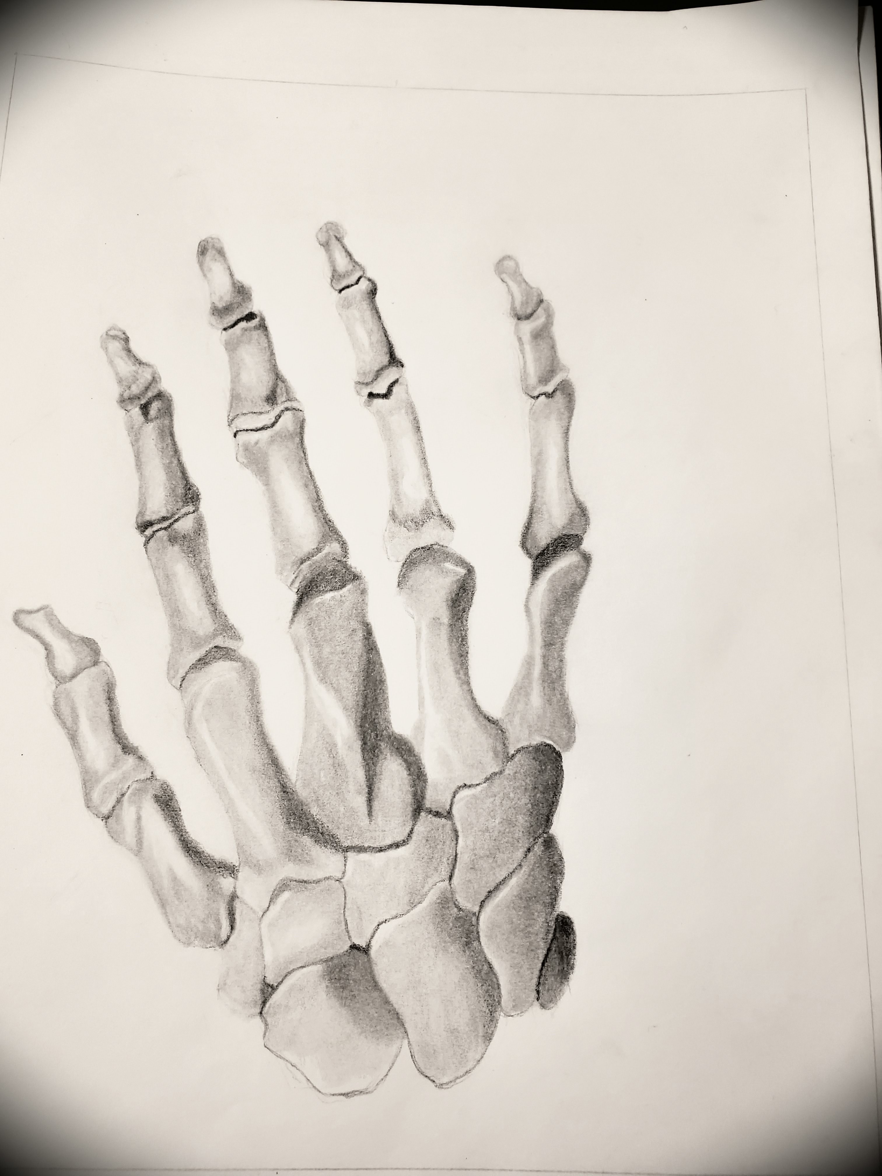 Skeleton Hand Drawing By Fordjr14 DragoArt Skeleton Hand Drawing By Fordjr14 DragoArt