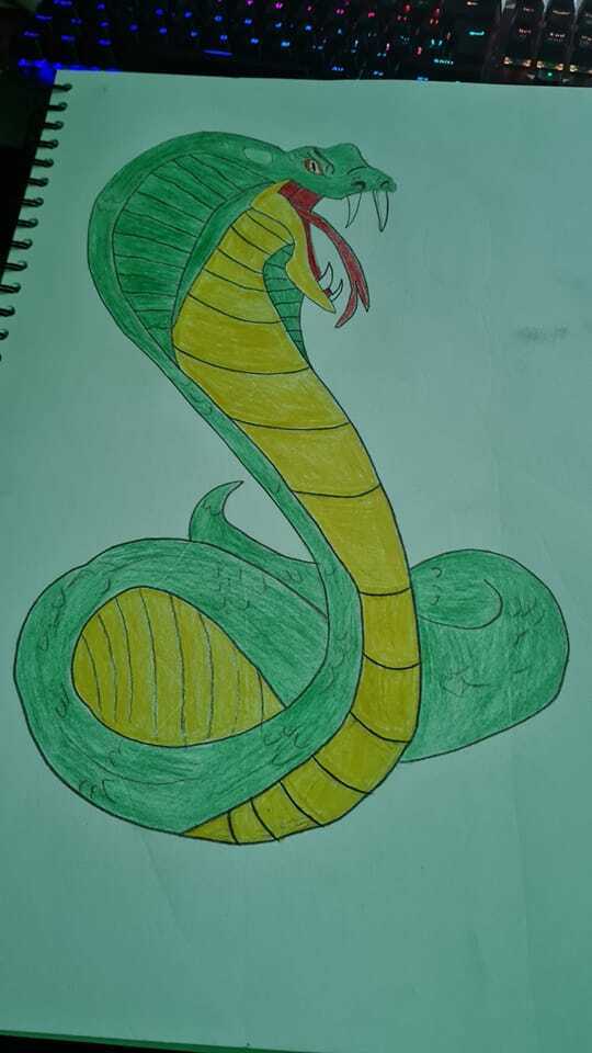 King Kobra Drawing by TheRabidOne - DragoArt