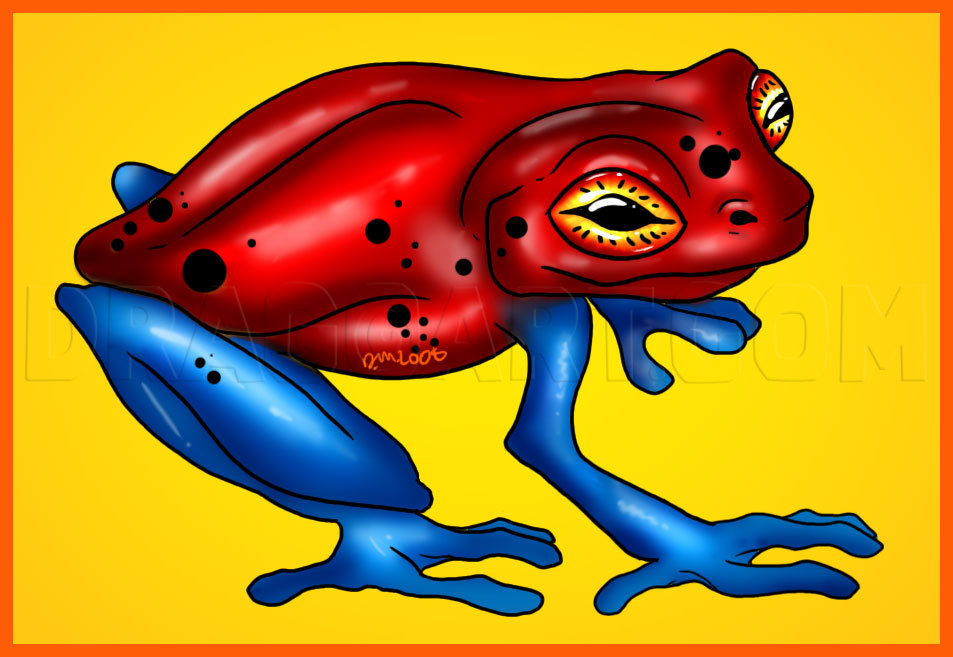 Poisonous Tree Frog Drawings