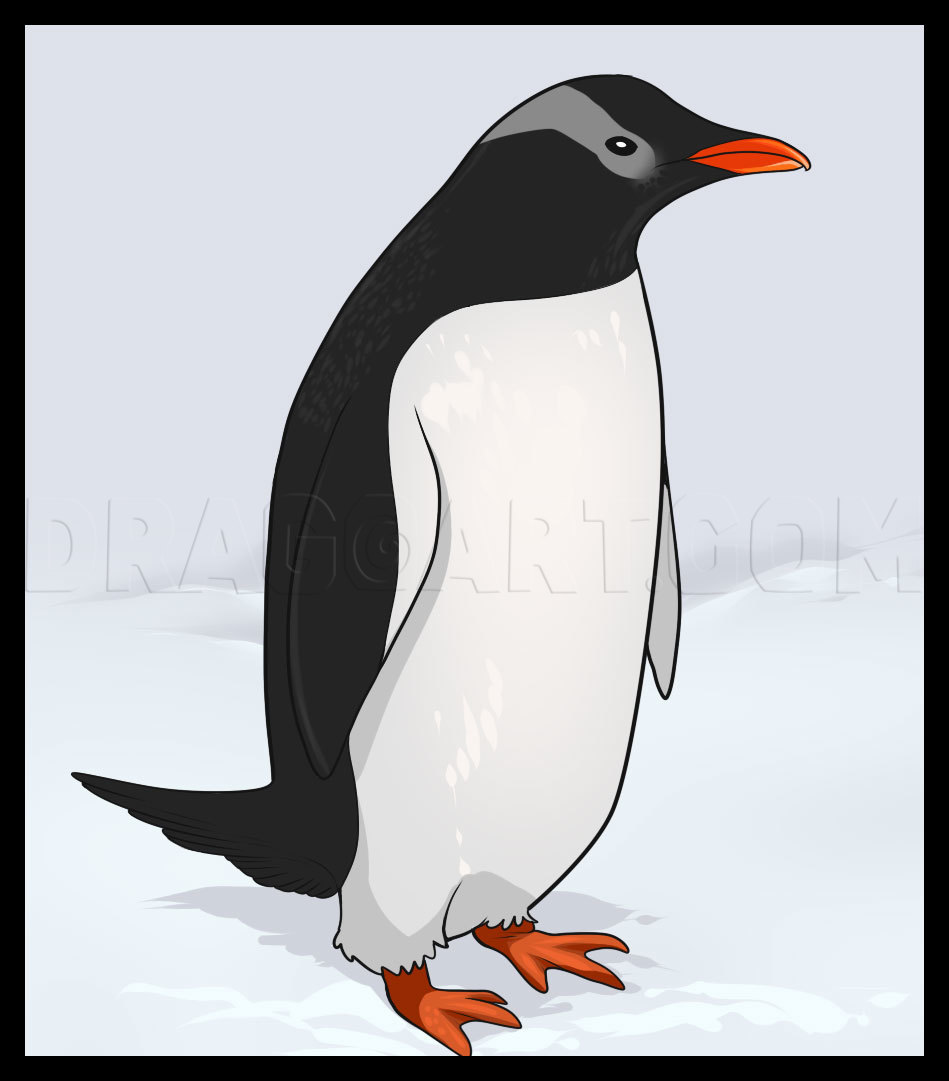 How To Draw A Penguin Step By Step Drawing Guide By Dawn DragoArt