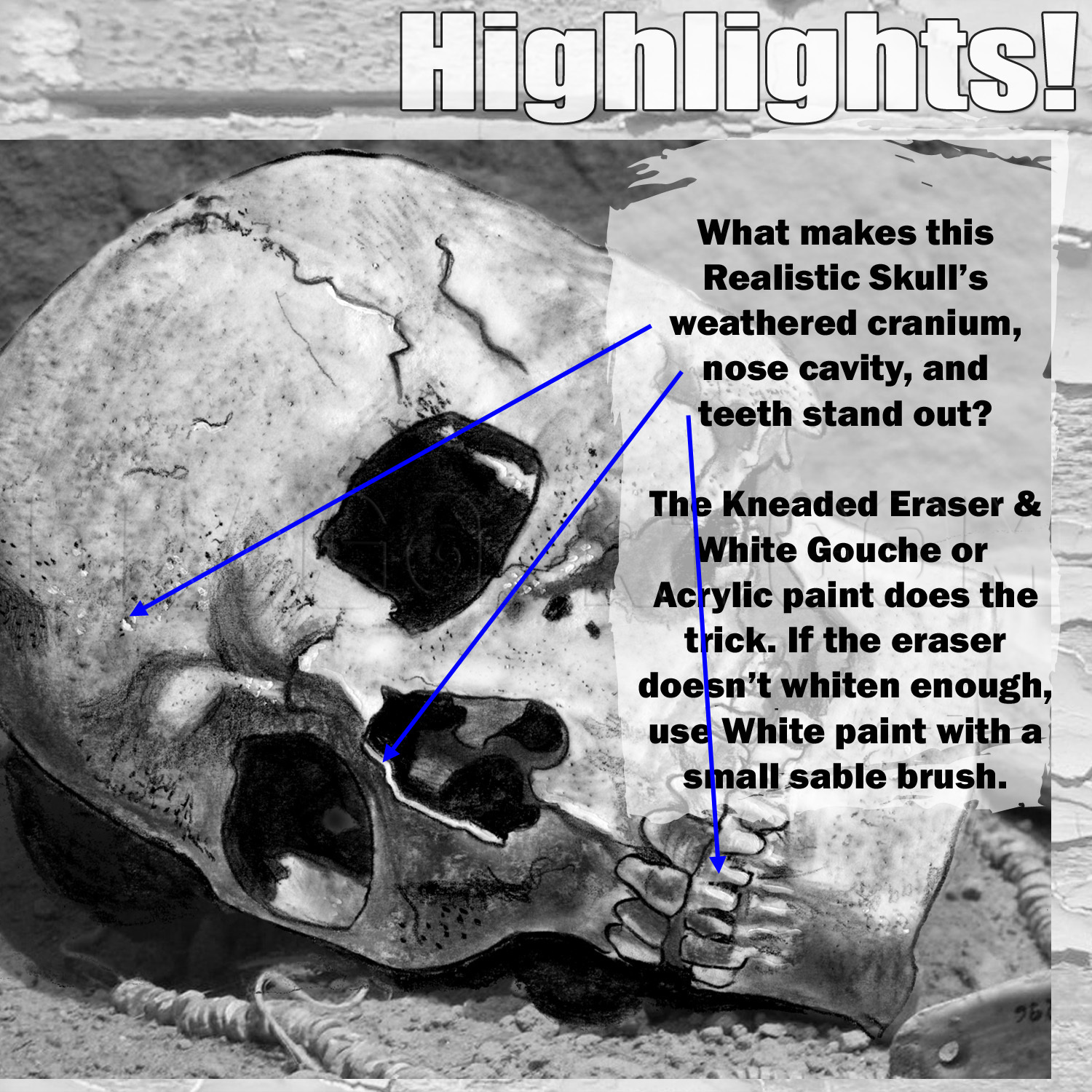 How To Draw A Realistic Skull Human Skull Step By Step Drawing Guide