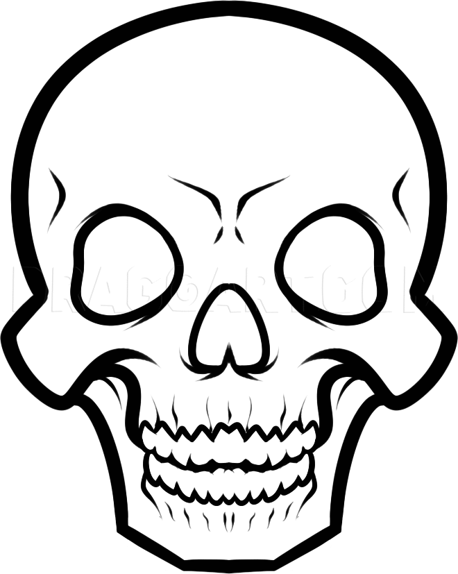 How To Draw A Skeleton Face Step By Step Drawing Guide By Dawn 