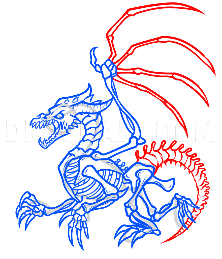 How To Draw A Skeleton Dragon Step By Step Drawing Guide By Dawn How To Draw A Skeleton Dragon Step By Step Drawing Guide By Dawn