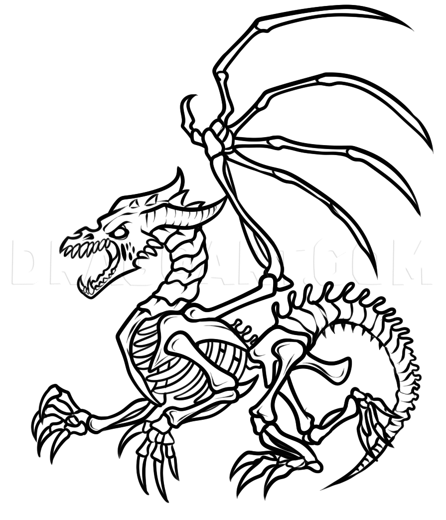 How To Draw A Skeleton Dragon Step By Step Drawing Guide By Dawn How To Draw A Skeleton Dragon Step By Step Drawing Guide By Dawn