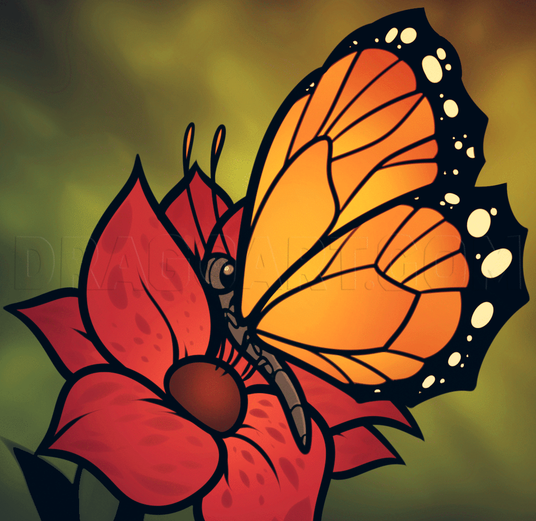 How To Draw A Butterfly On A Flower Butterfly And Flower Step By Step Drawing Guide By Dawn 