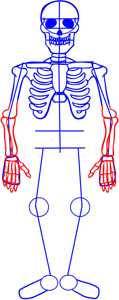 How To Draw A Skeleton Step By Step Drawing Guide By Dawn DragoArt