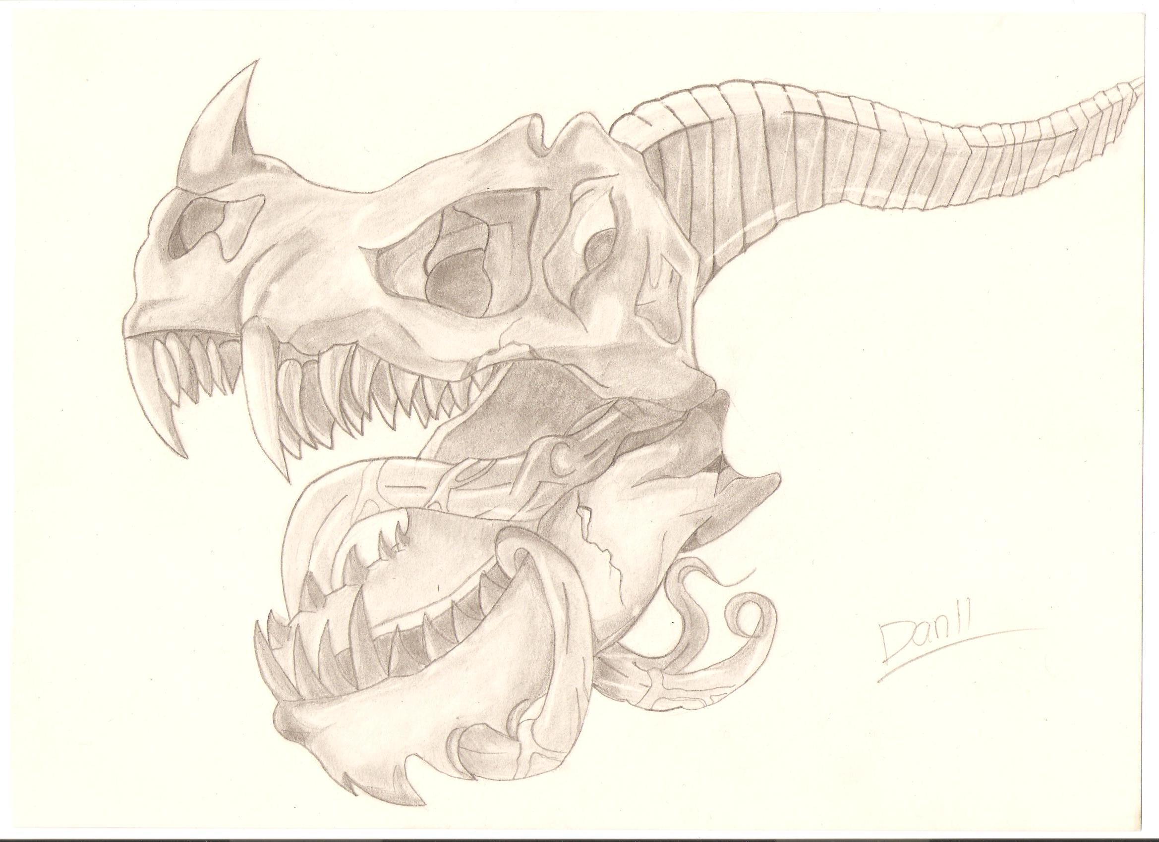 Dragon Skull Drawing by Crapontv | dragoart.com