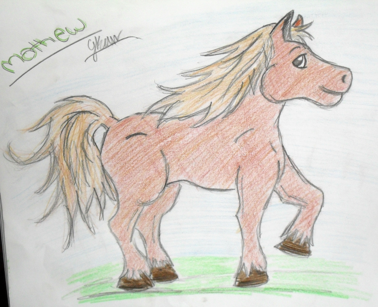 Mathew The Horse Drawing by Neon_dollar - DragoArt