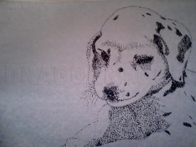 How To Draw A Dog Useing Pointalism, Step by Step, Drawing Guide, by ...