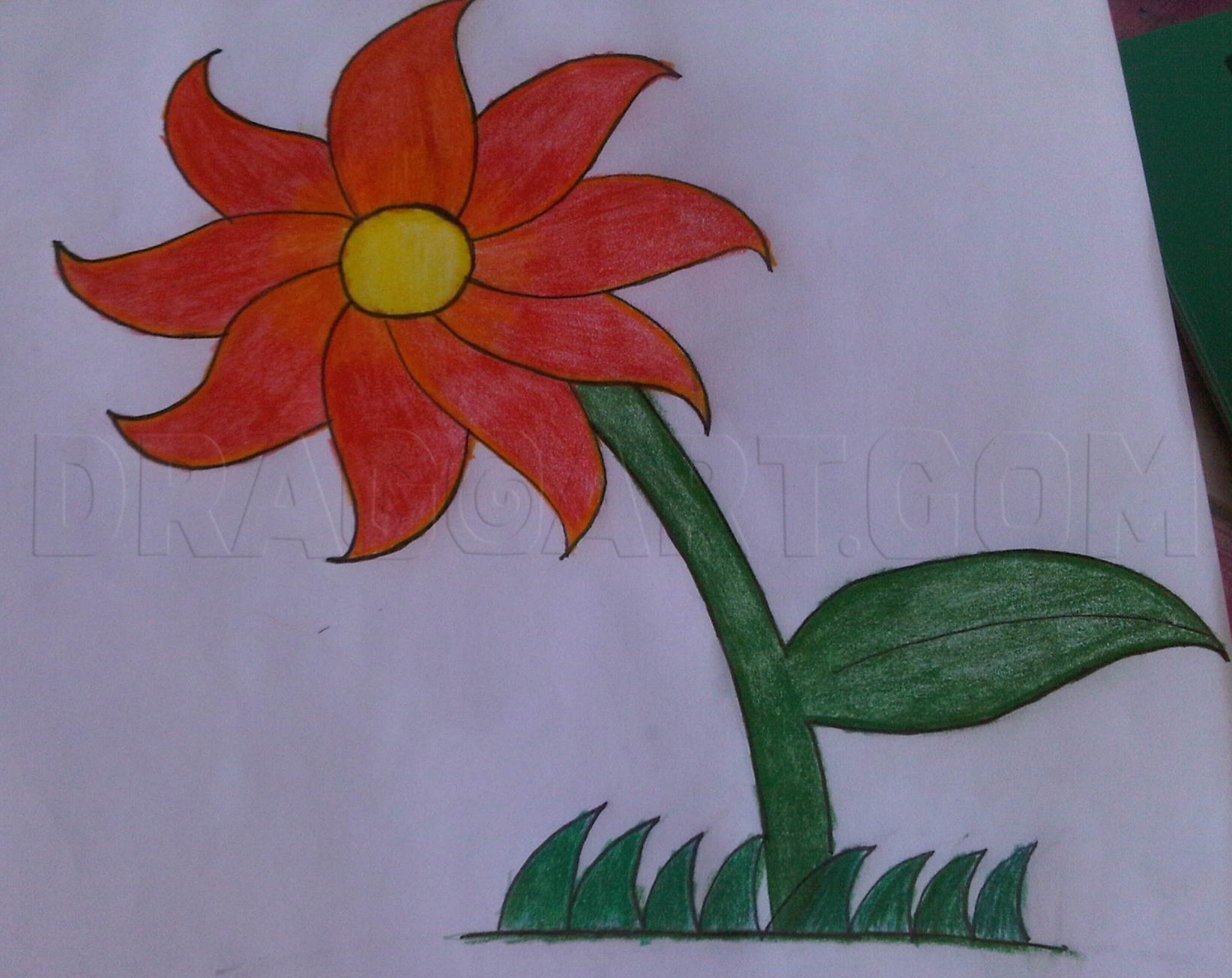 How To Draw A Flower Easy Step By Step Drawing Guide By Emmyd 