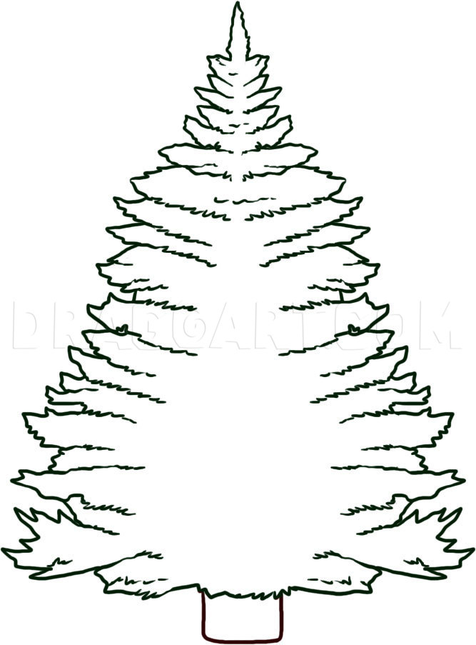 How To Draw A Pine Tree Step By Step Drawing Guide By Dawn DragoArt