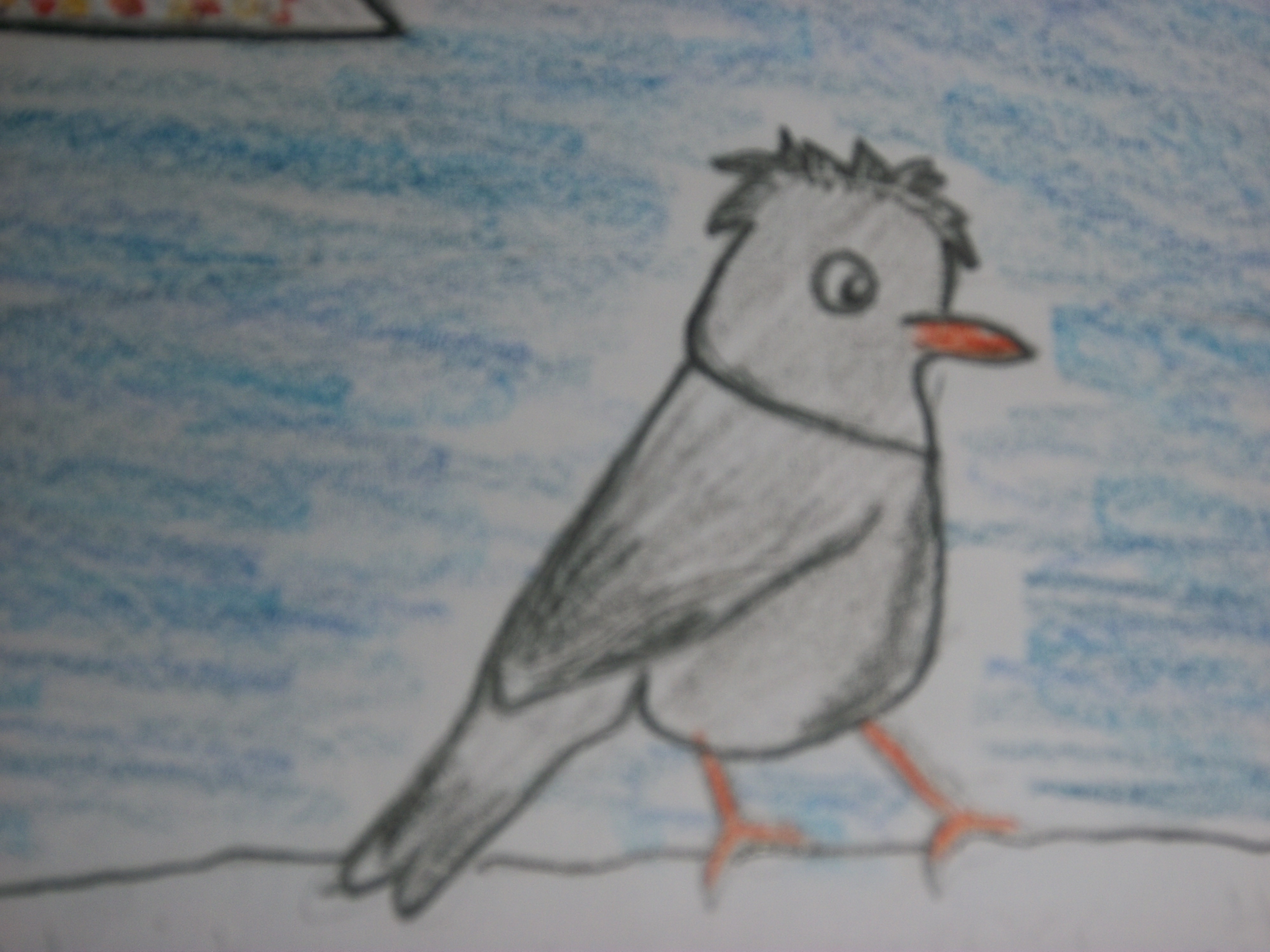 Birdy Drawing by daydreamer247 - DragoArt