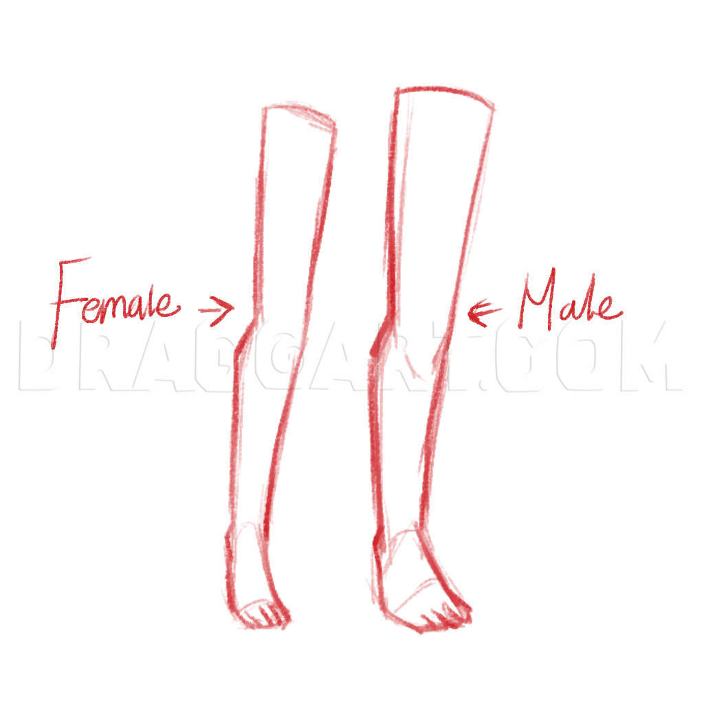 How To Draw Anime Legs Step By Step Drawing Guide By PuzzlePieces How To Draw Anime Legs Step By Step Drawing Guide By PuzzlePieces