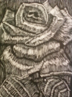 Scratch Board Rose Drawing by Dominic236 - DragoArt