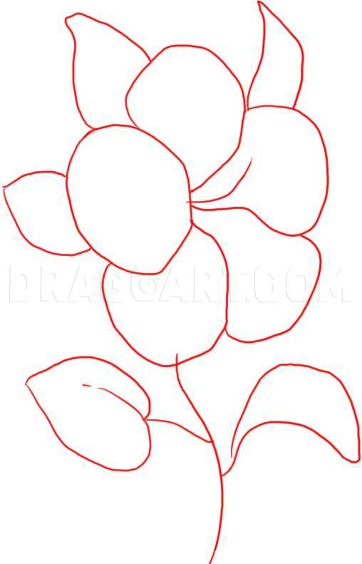 How To Draw A Hibiscus Step By Step Drawing Guide By Dawn DragoArt How To Draw A Hibiscus Step By Step Drawing Guide By Dawn DragoArt