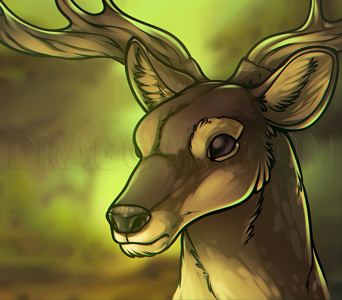 How To Draw A Deer Head Step By Step Drawing Guide By Dawn DragoArt