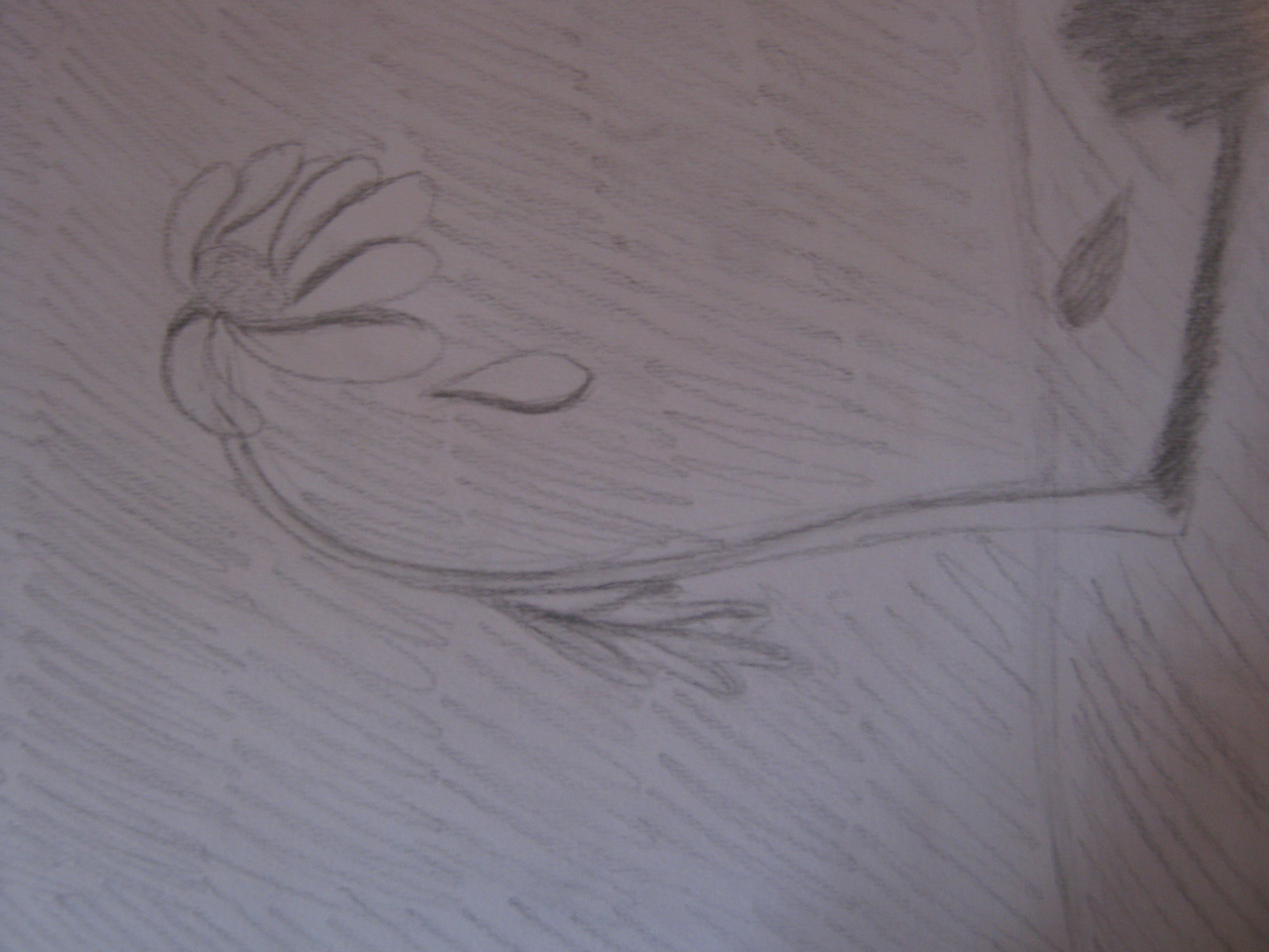 Sad Flower Drawing by Chestnut_love_you - DragoArt