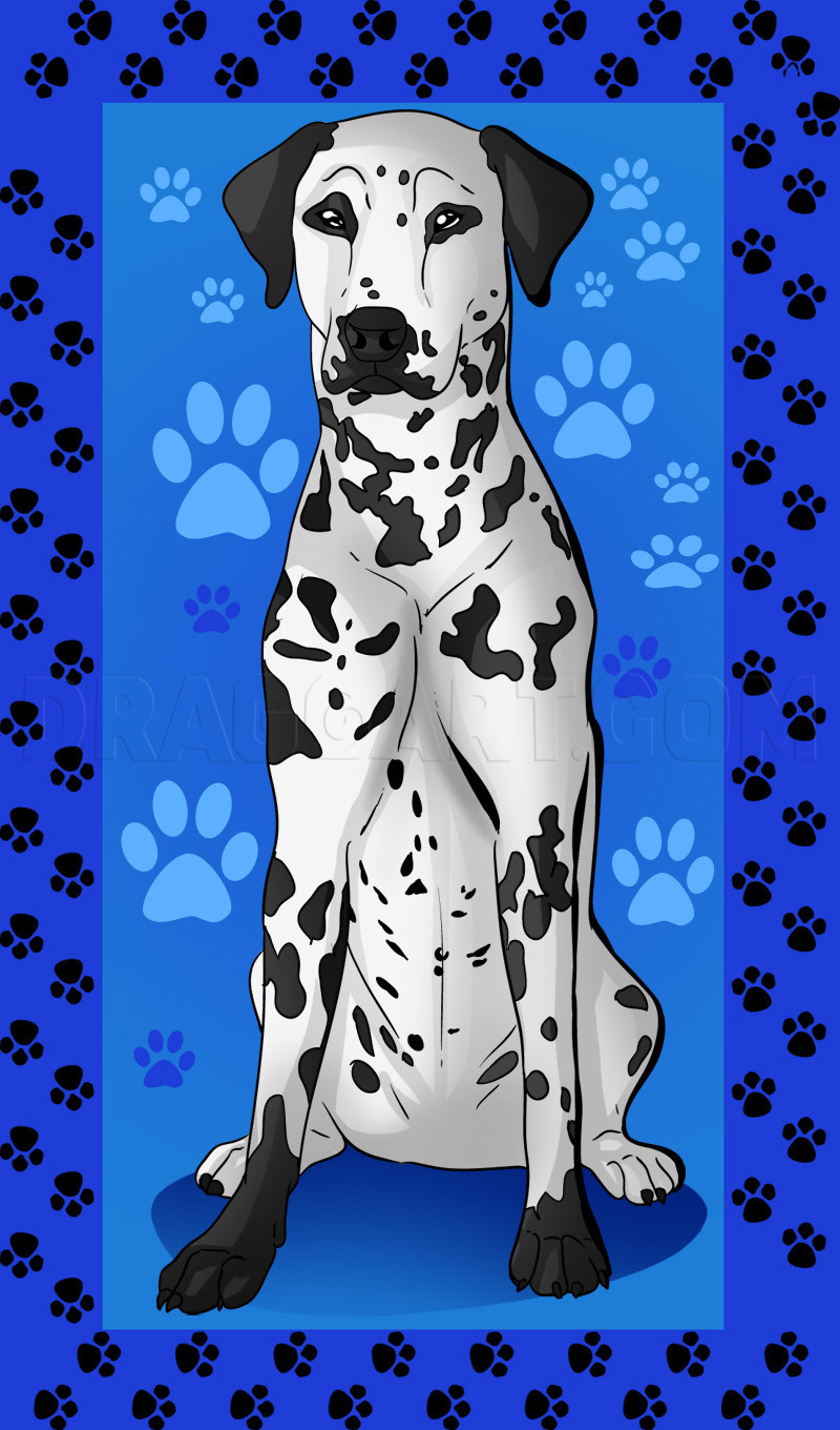How To Draw A Dalmatian Step By Step Drawing Guide By Dawn DragoArt