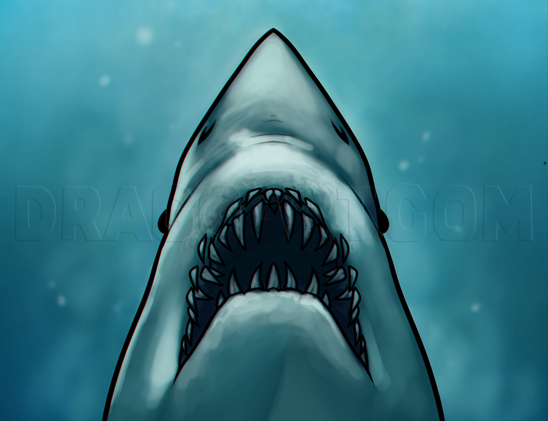 How To Draw Jaws Drawing Step By Step By Dawn DragoArt How To Draw Jaws Drawing Step By Step By Dawn DragoArt
