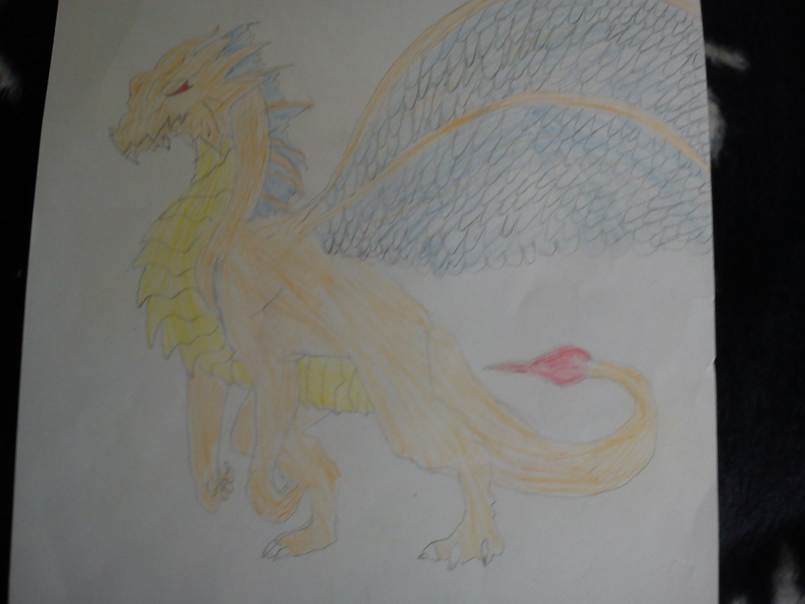 Feathered Wing Dragon Drawing by serieguy54 - DragoArt