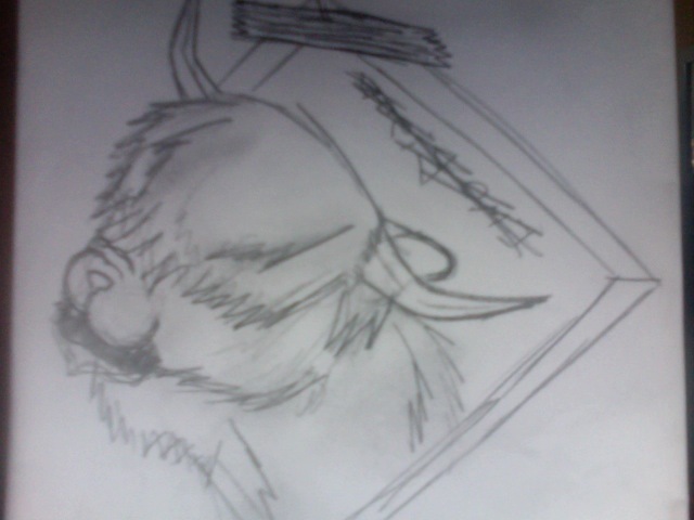 Emo Bison Drawing by taggis - DragoArt