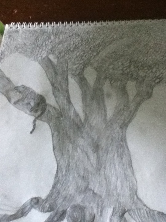 Panther In A Tree Drawing by Dragon_horse_addict - DragoArt