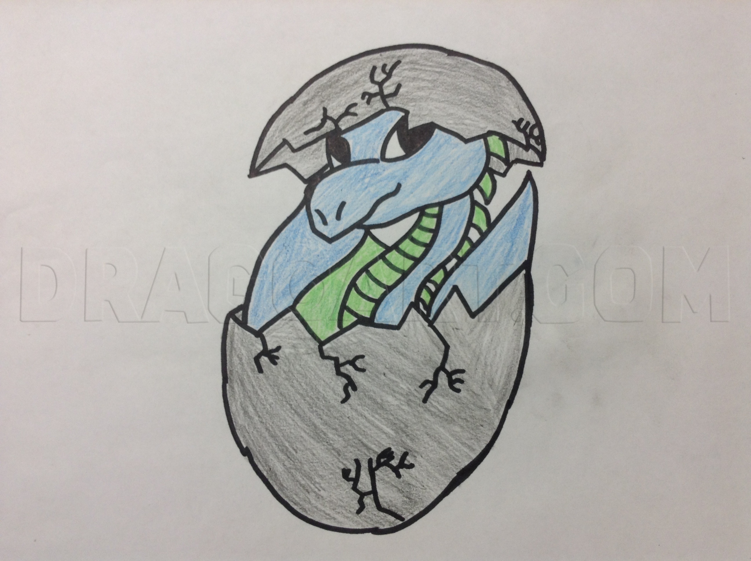 Hatching Dragon, Step by Step, Drawing Guide, by Matlopo - DragoArt