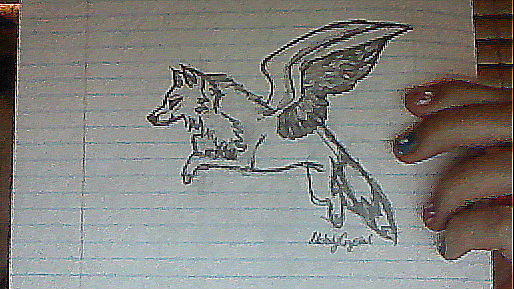 Winged Wolf Drawing by Arion - DragoArt