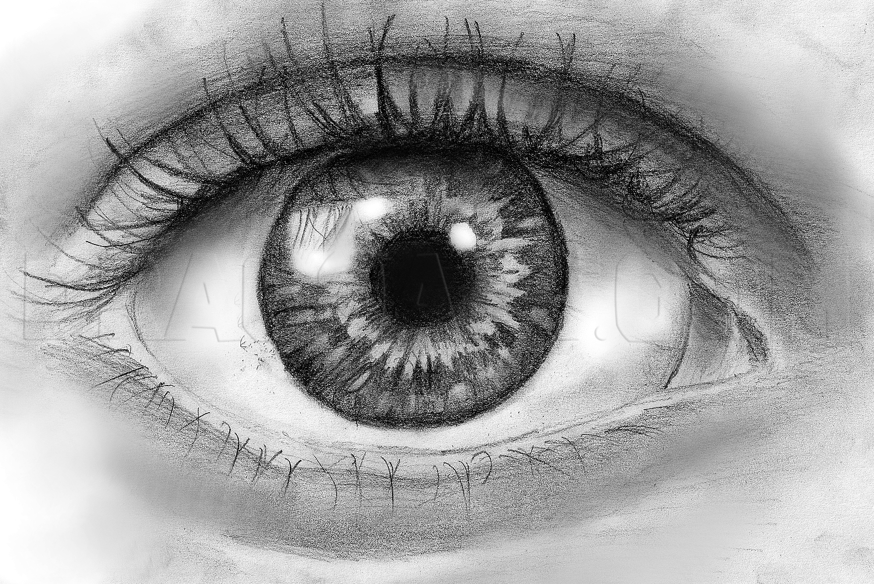 How To Draw An Eye In Pencil Step By Step Drawing Guide By 