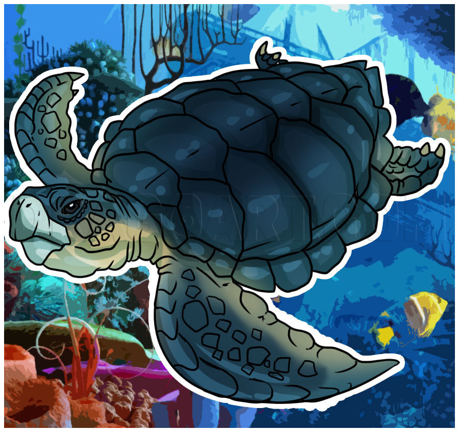 How To Draw A Turtle Step By Step Drawing Guide By Dawn DragoArt