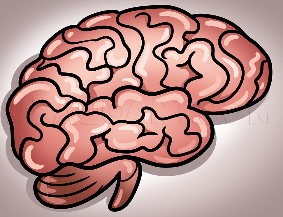 Drawing A Brain For Kids Step By Step Drawing Guide By Dawn DragoArt