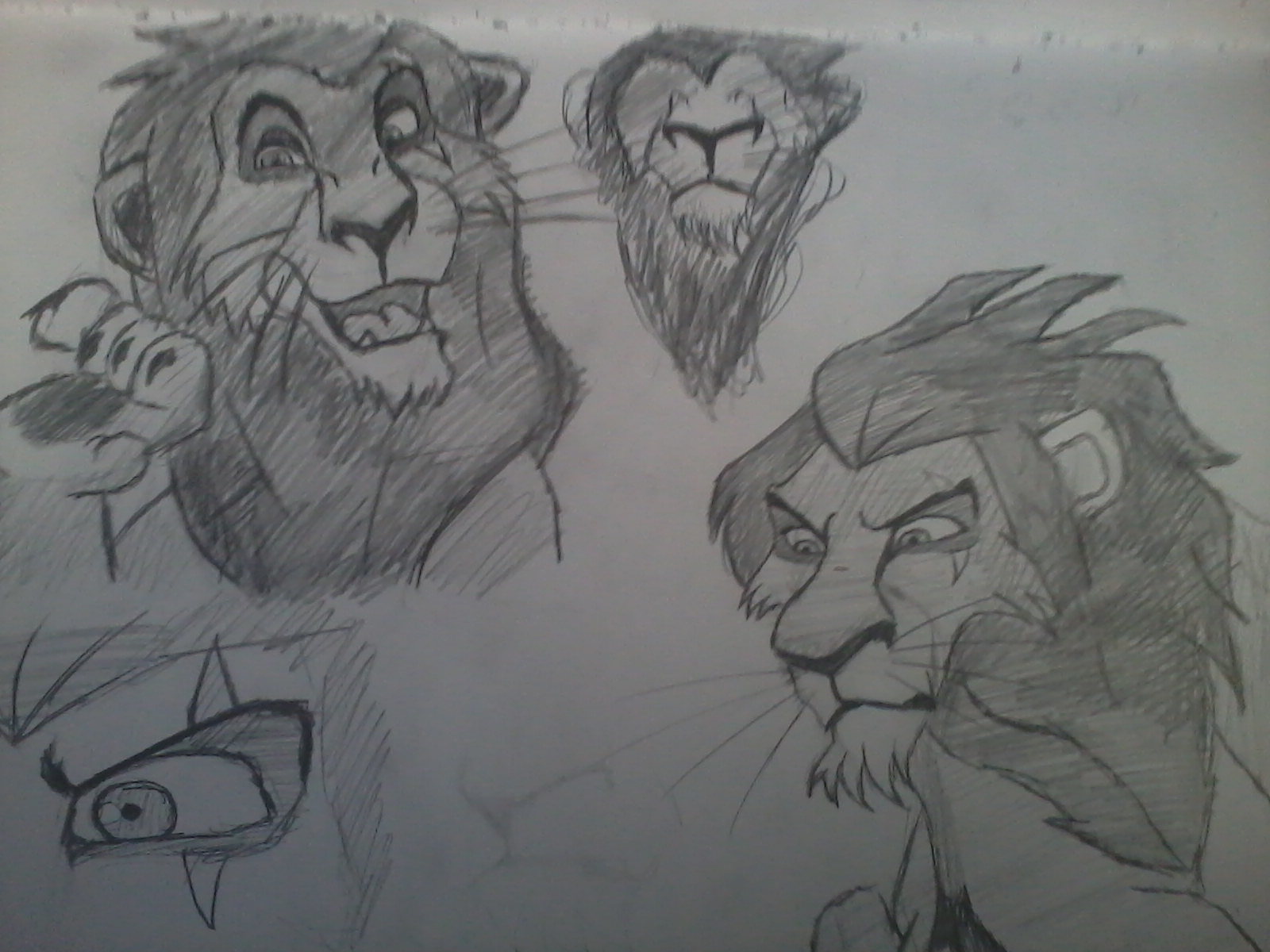 Scar Drawing by lukegiant15 - DragoArt
