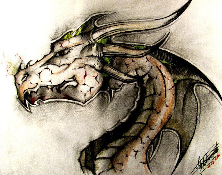 Female Dragon Drawing by Wolverinebs - DragoArt