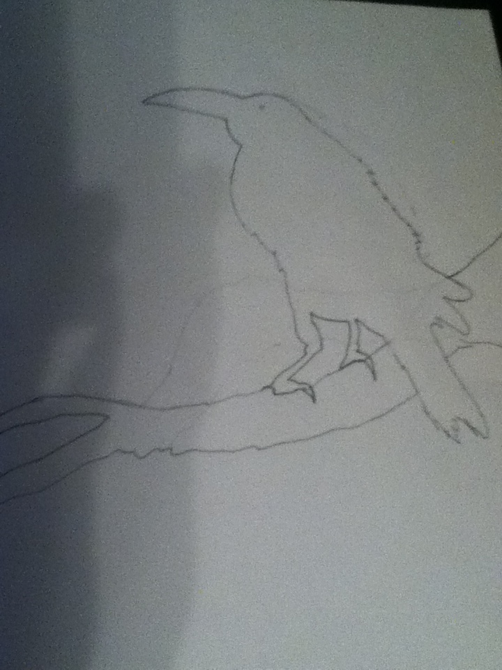 Karasu (crow In Japanese) Drawing by JamieOliver - DragoArt
