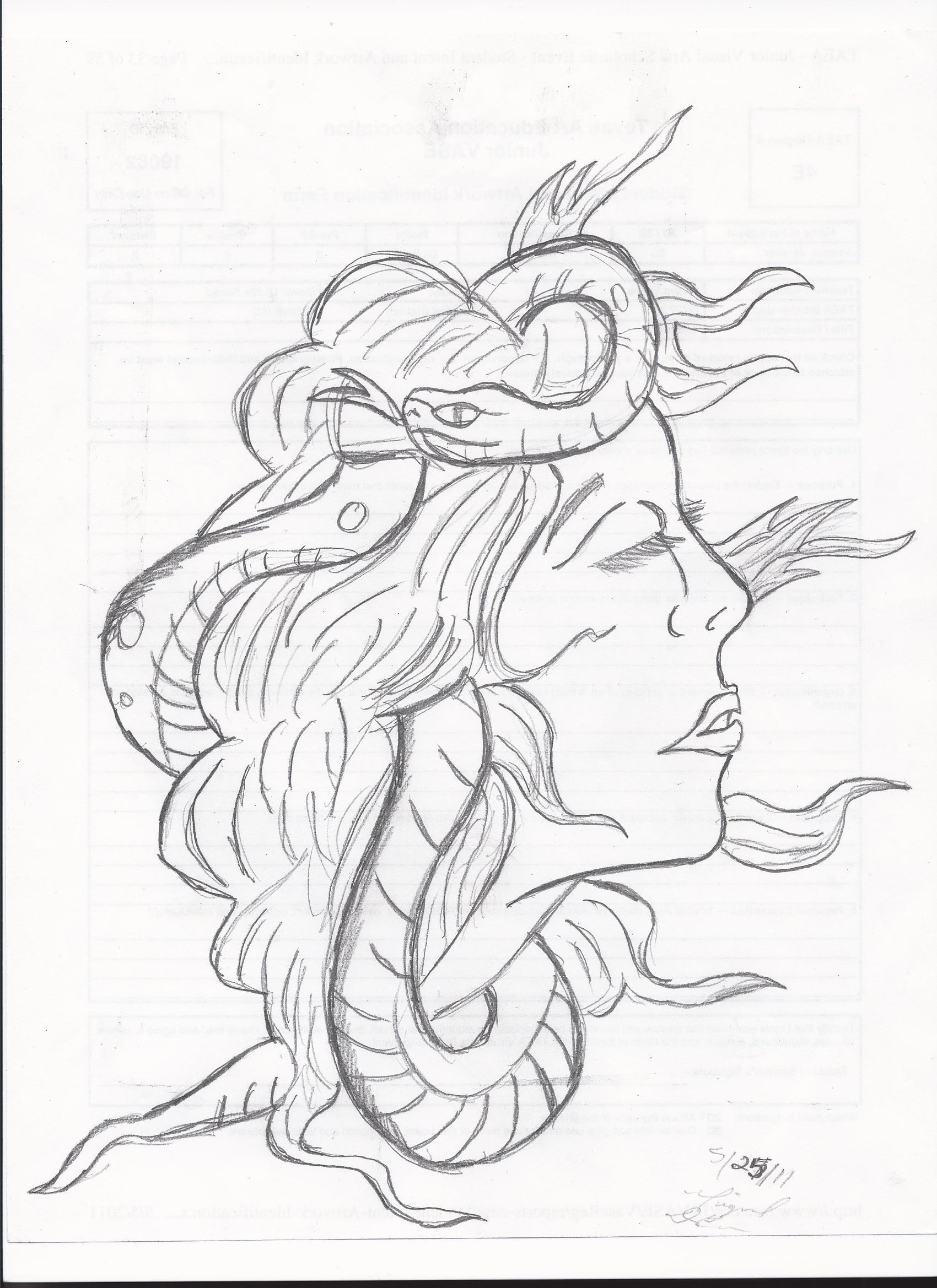 Lady With Snake In Her Hair Drawing by home369 - DragoArt