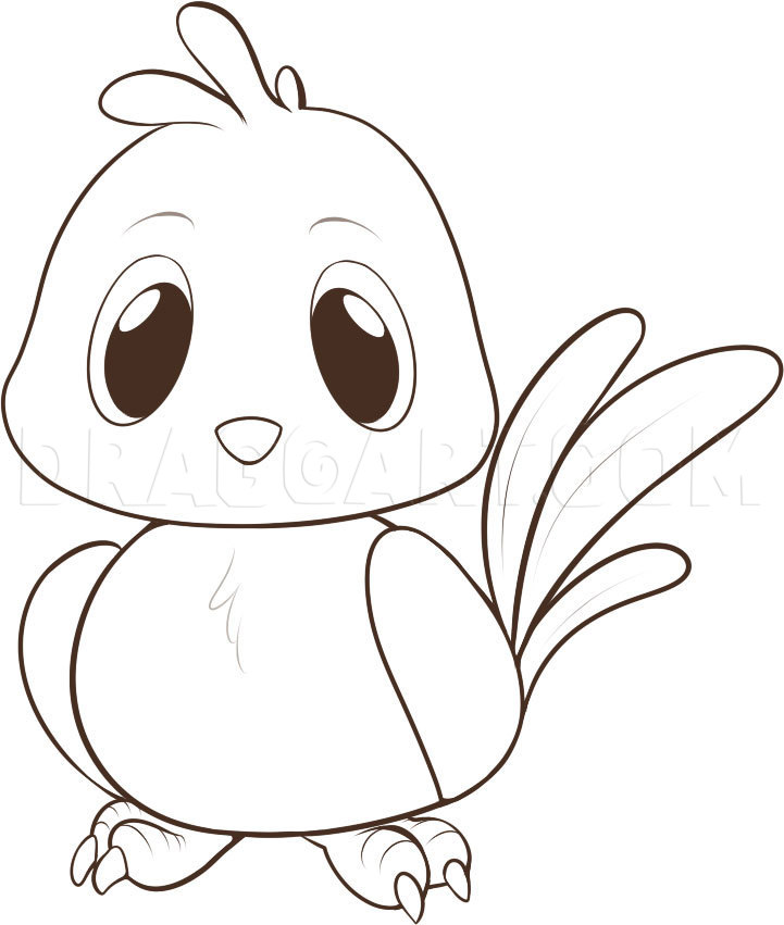 How To Draw An Easy Bird Step By Step Drawing Guide By Dawn DragoArt
