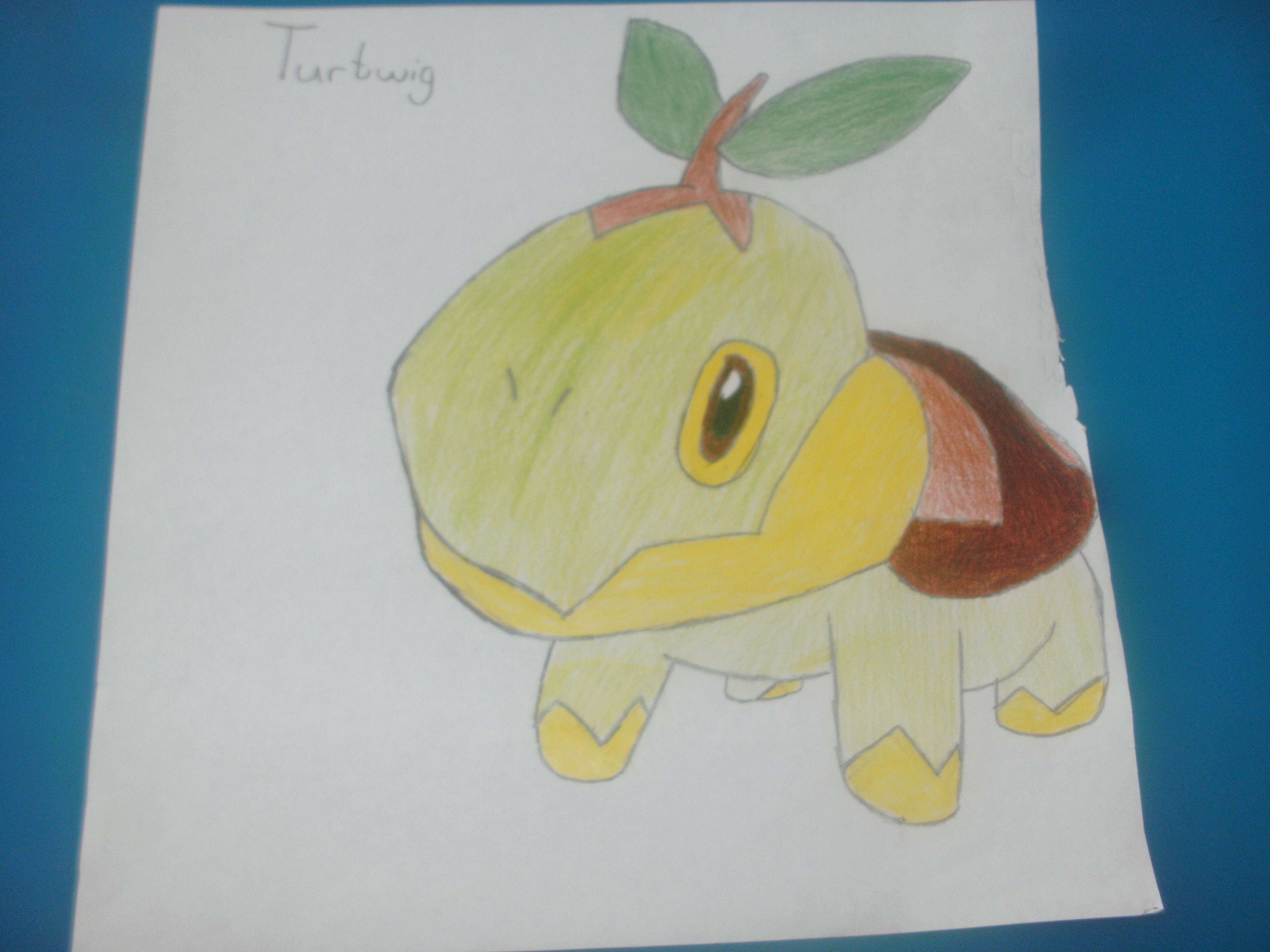 Turtwig Drawing by Heidi - DragoArt