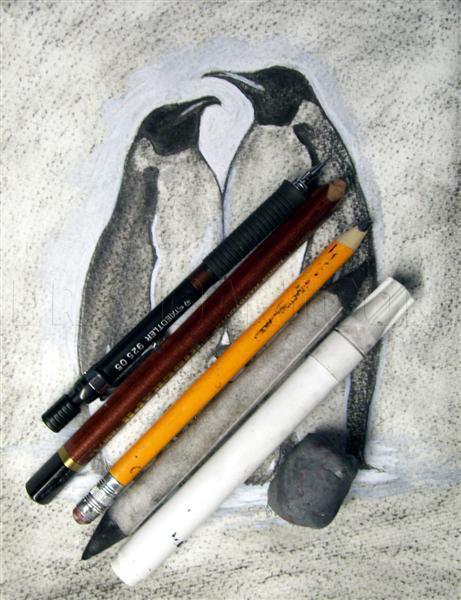 How To Draw A Realistic Penguin Draw Real Penguin Step By Step Drawing Guide By Finalprodigy 