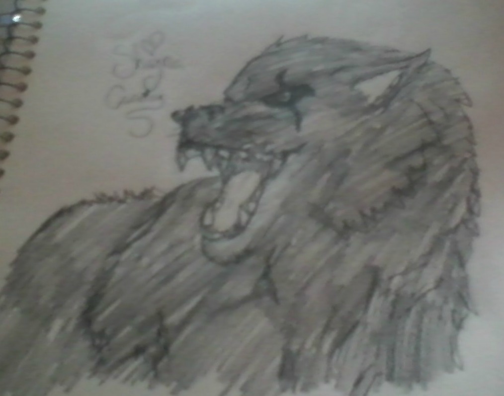 Angry Wolf Drawing by pumpkinc18 - DragoArt