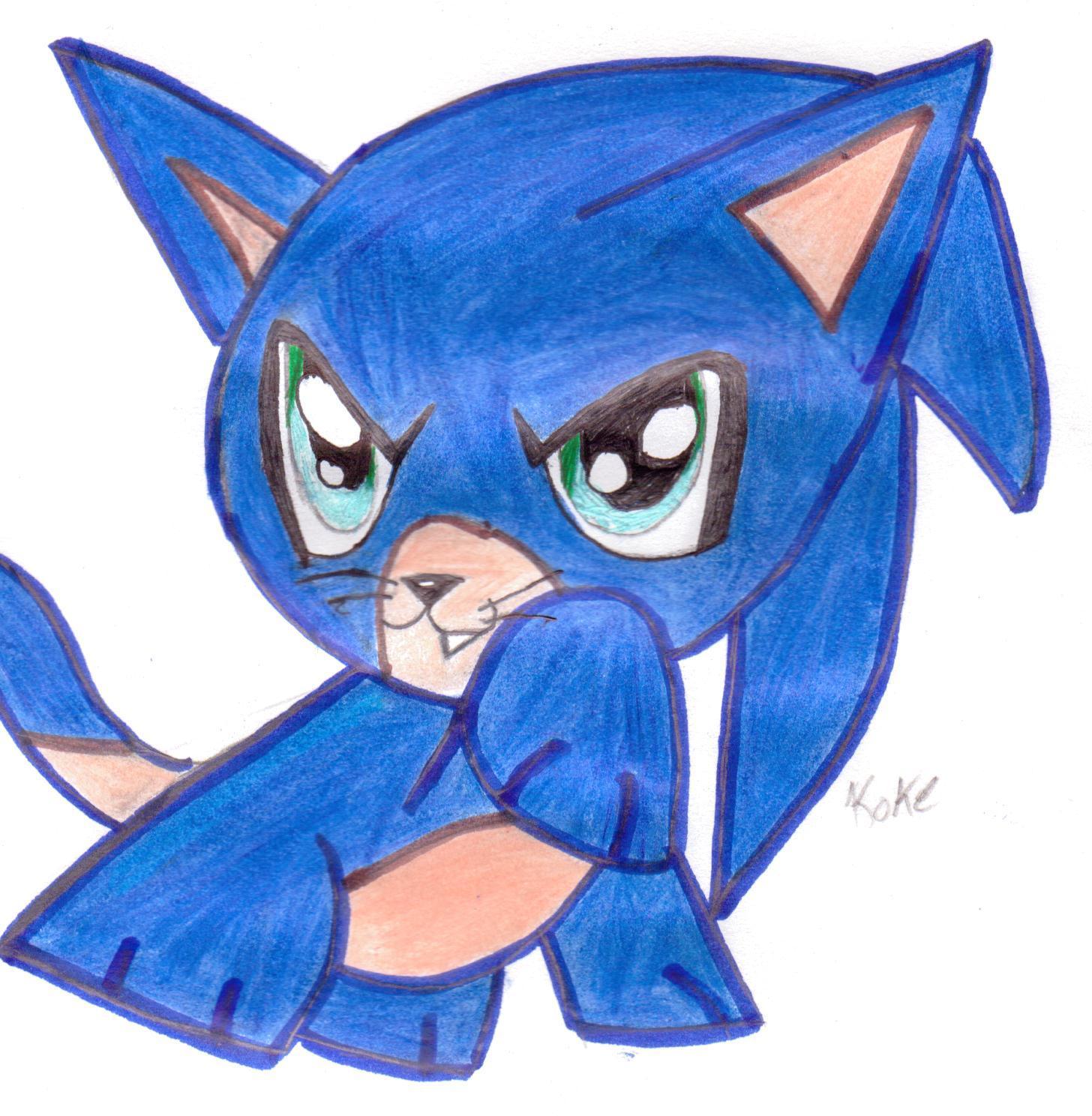 Sonic Cat Drawing by KOOPERCAP - DragoArt