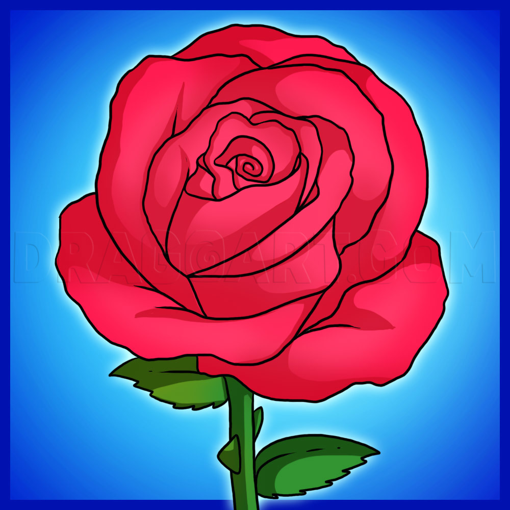 How To Draw A Simple Rose Step By Step Drawing Guide By Dawn DragoArt
