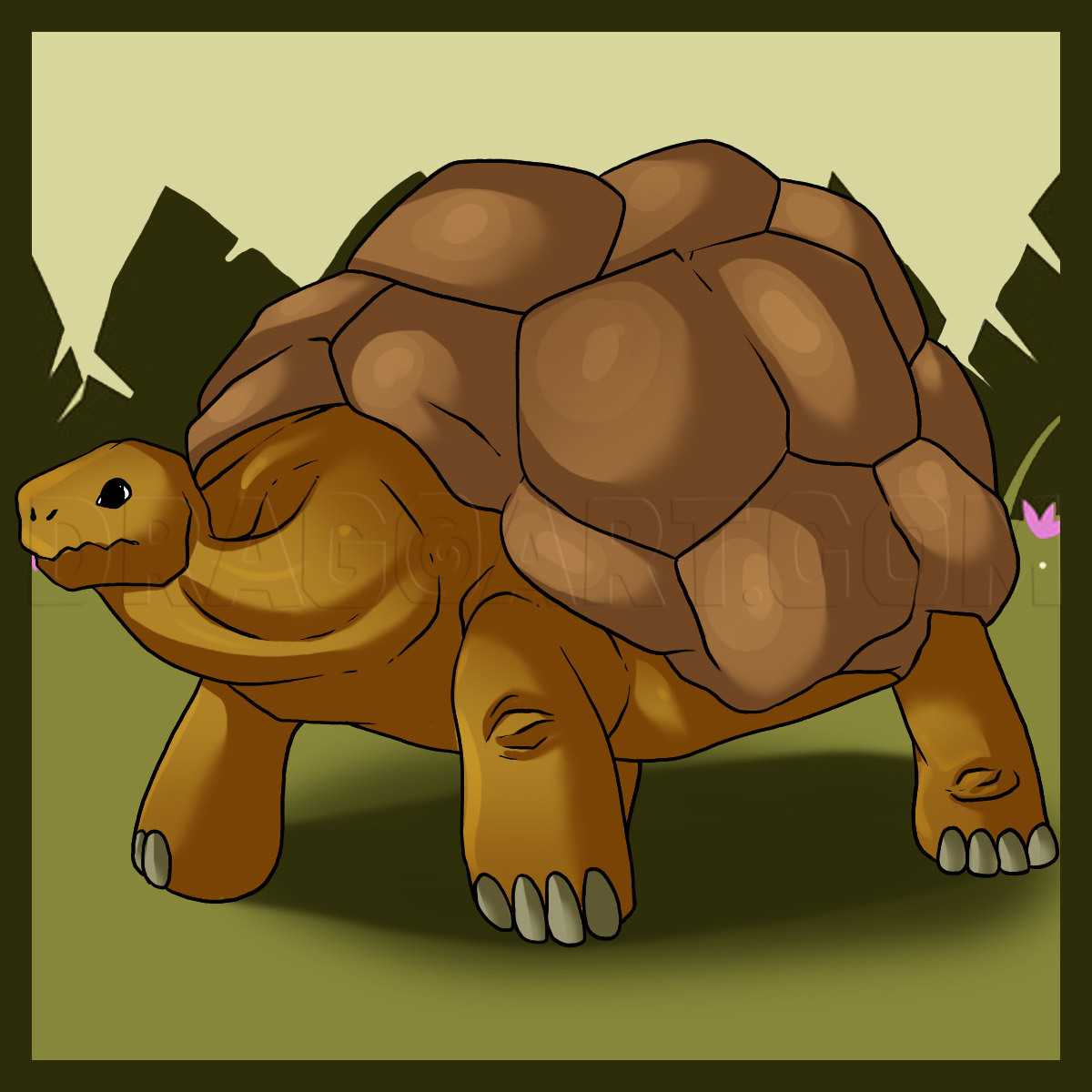 How To Draw A Tortoise Step By Step Drawing Guide By Dawn DragoArt