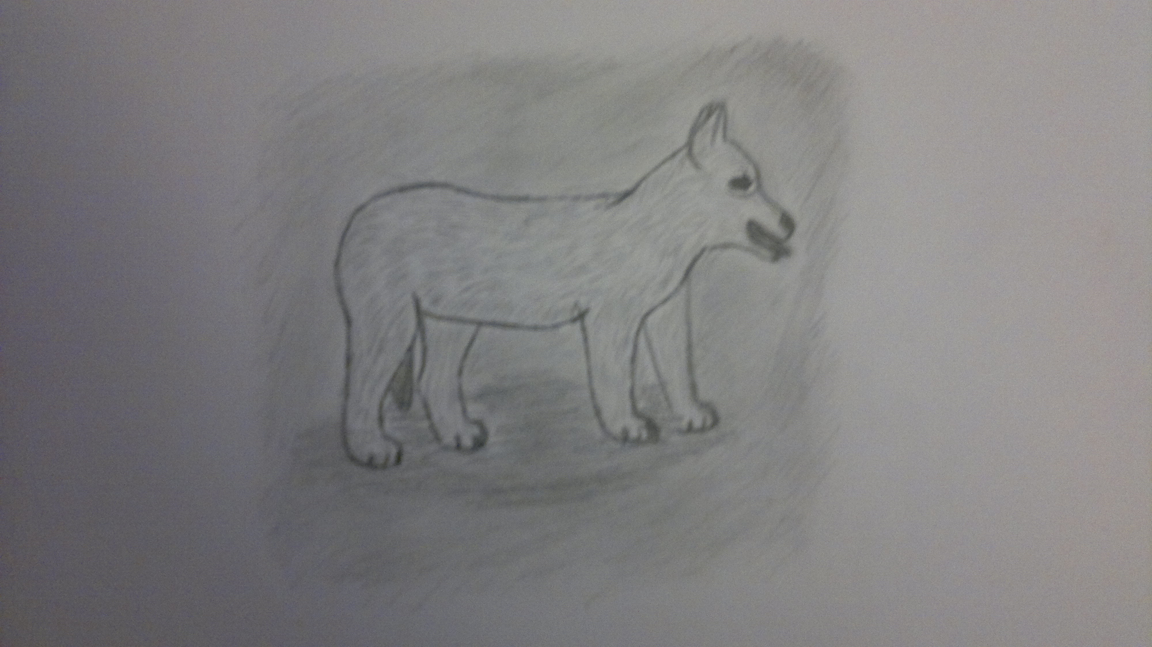 My Wolf Cub Drawing by nicole_arty - DragoArt