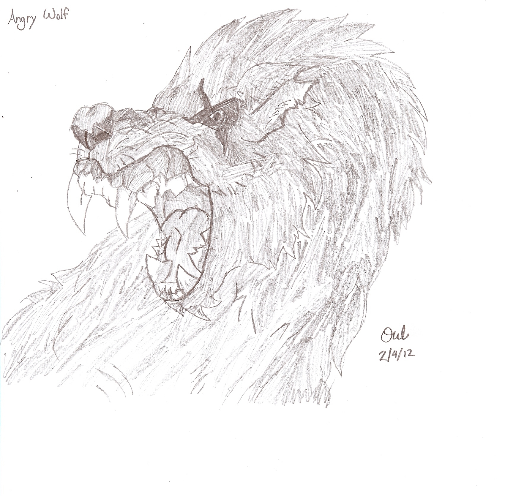 Angry Wolf Drawing by owllover - DragoArt