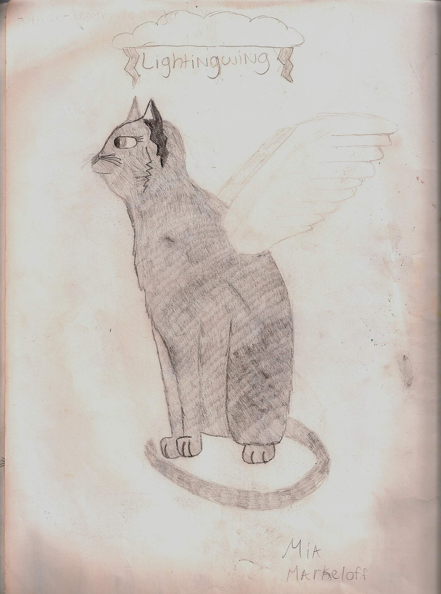 Winged Cat Drawing by dreamdrawer - DragoArt