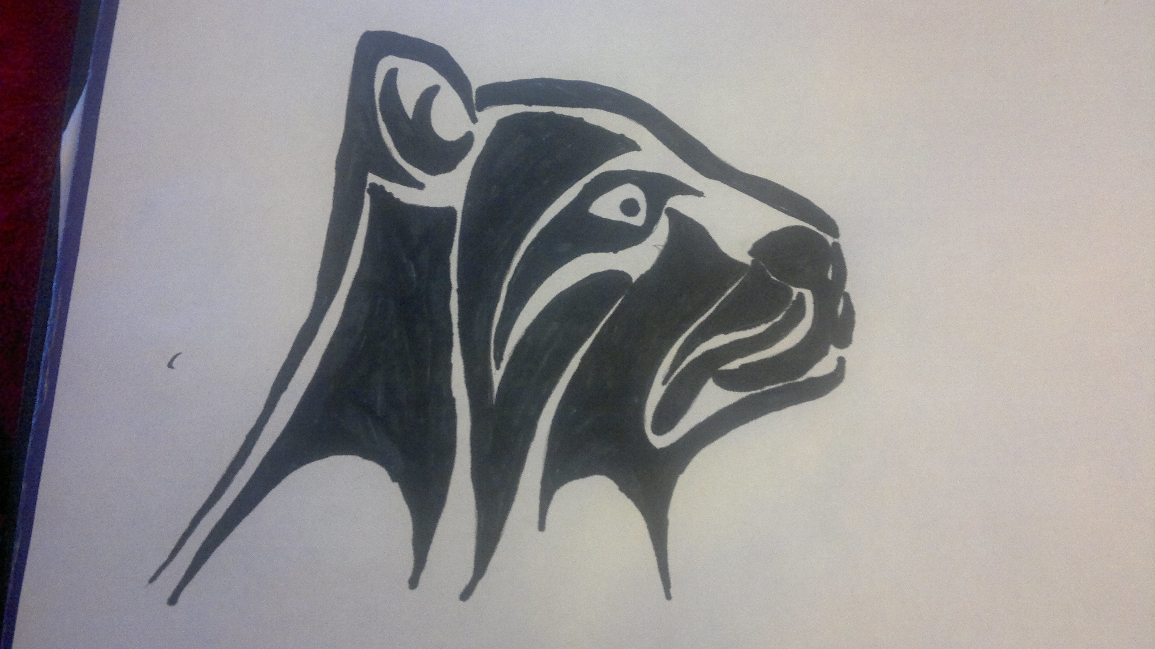 Puma Drawing by nicole_arty - DragoArt