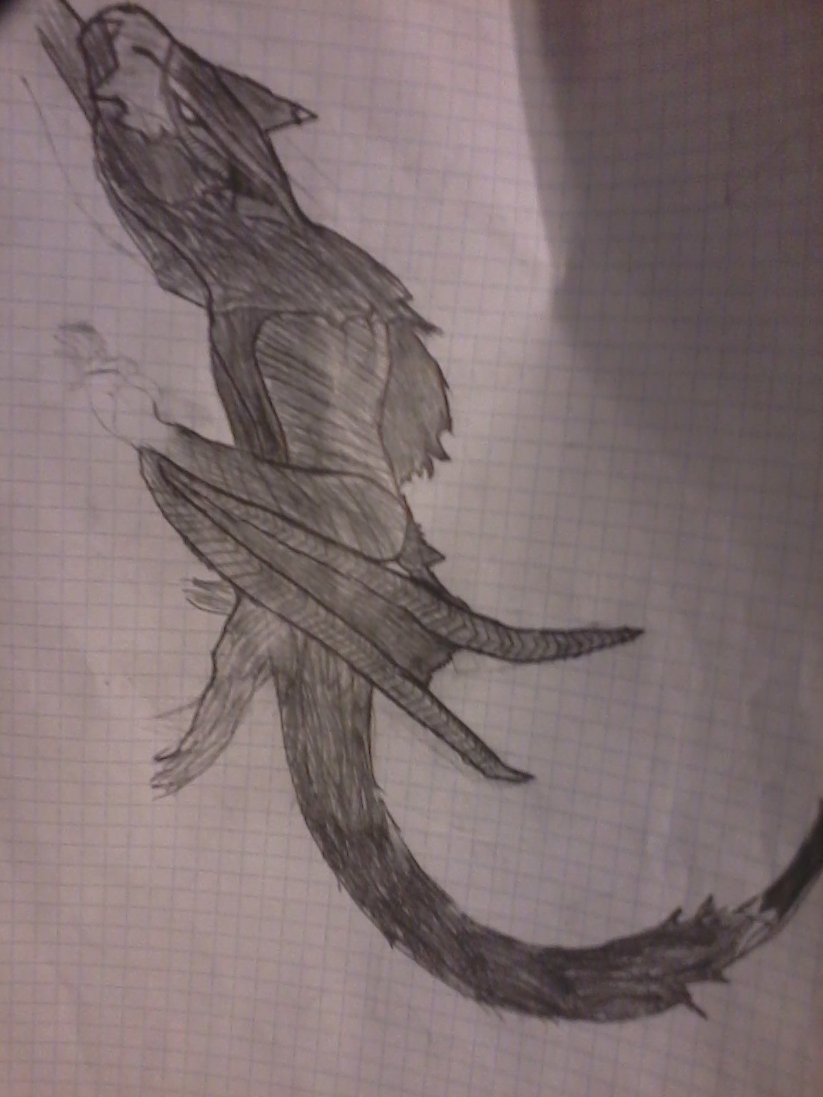 Nargacuga Drawing by Red_Hood - DragoArt